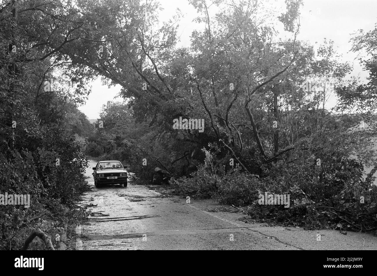 The great storm 1987 uk Black and White Stock Photos & Images - Alamy