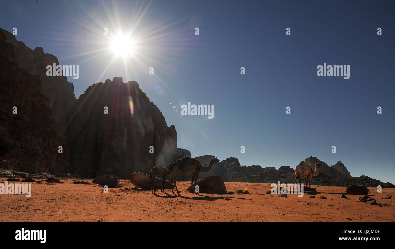Beautiful mountain scenery in the mountain desert in Wadi Rum, Jordan ...