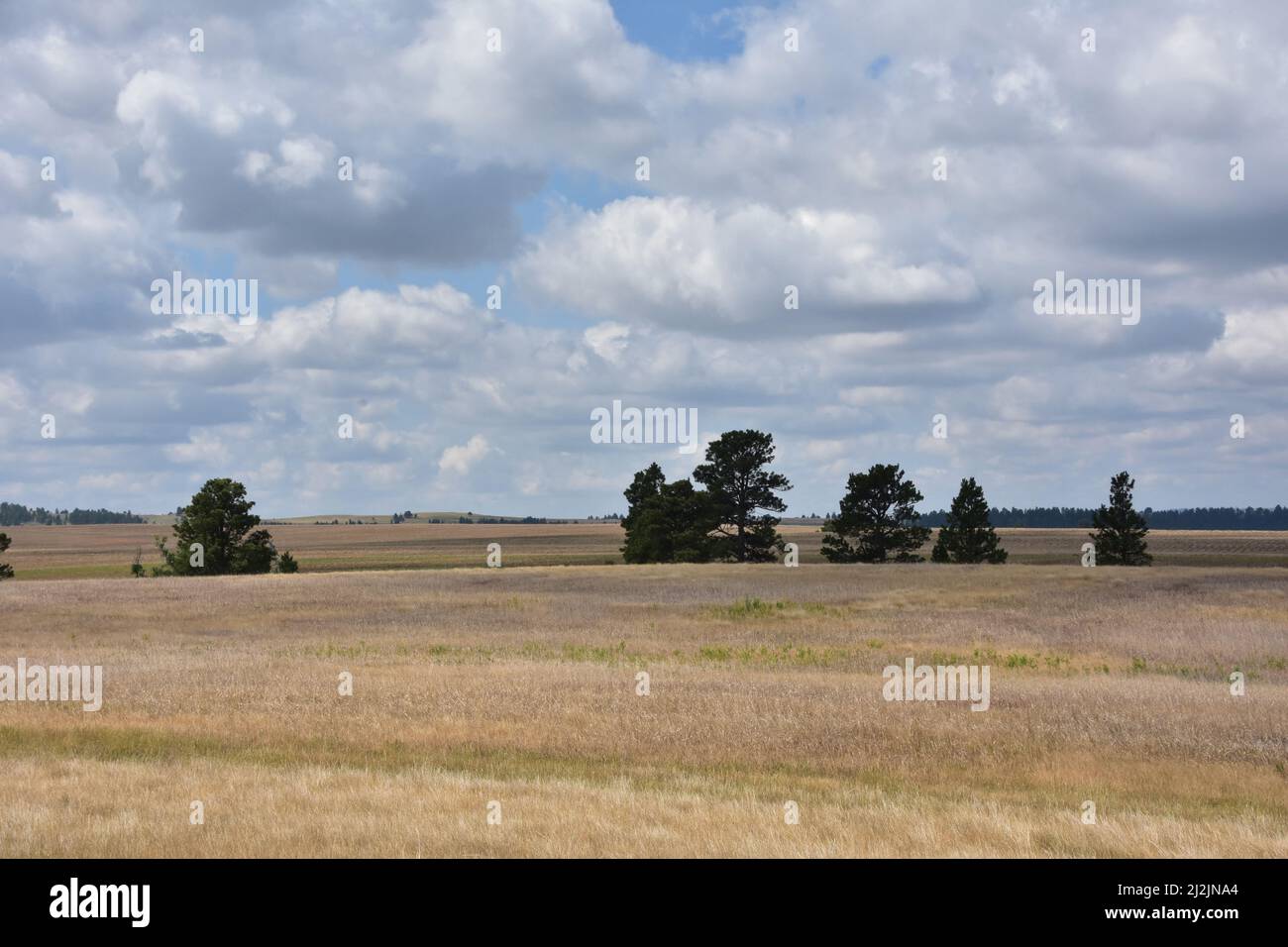 Summer day with fluffy white clouds over hay fields in the midwest ...