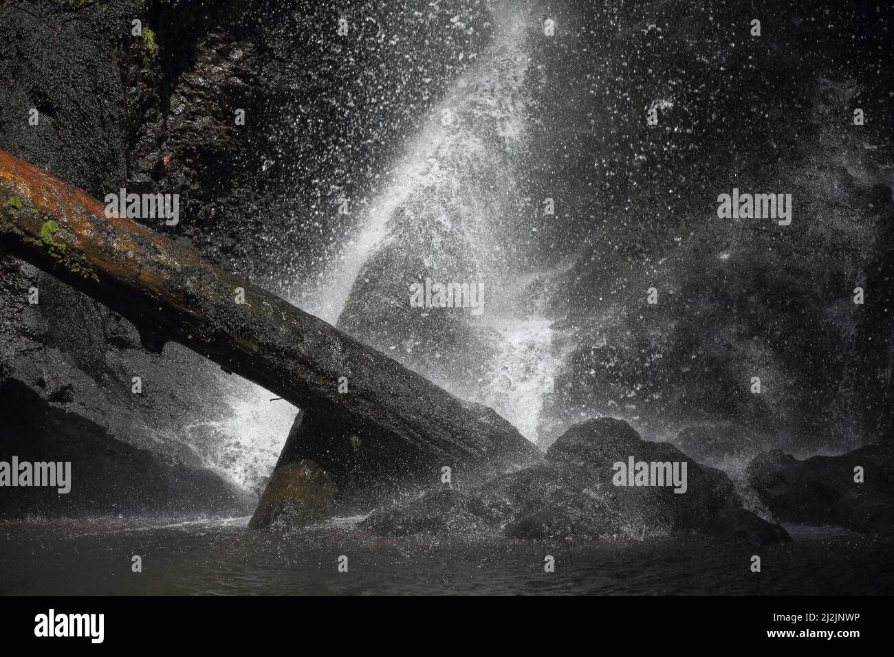 Kinukamari Waterfall on Kilimanjaro, Tanzania Stock Photo - Alamy