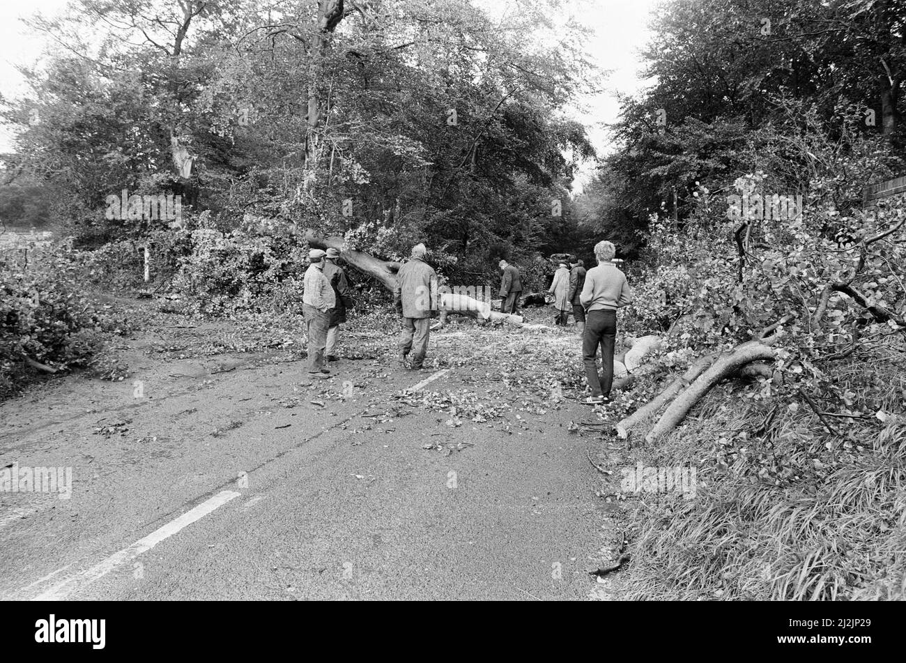 The Great Storm October 1987. Our Picture Shows . . . storm damage ...