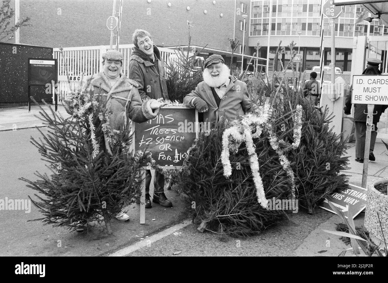 Only Fools And Horses Christmas Trees St Helens Star Nicola Tunstall