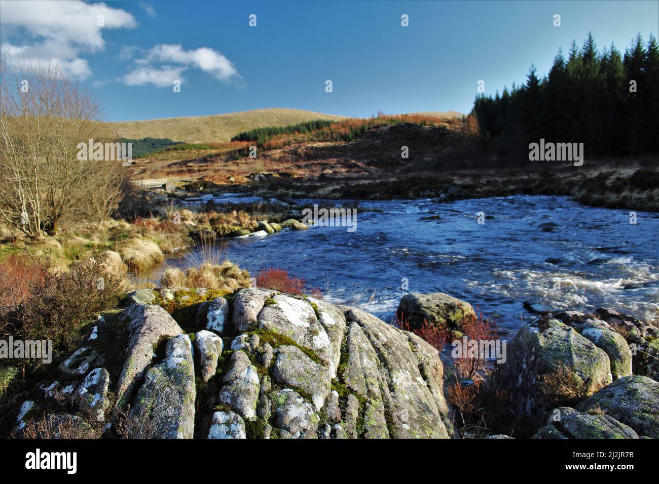 Galloway Forest Park - Scotland Stock Photo - Alamy