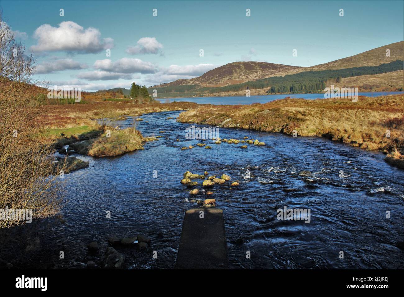 Galloway Forest Park - Scotland Stock Photo - Alamy