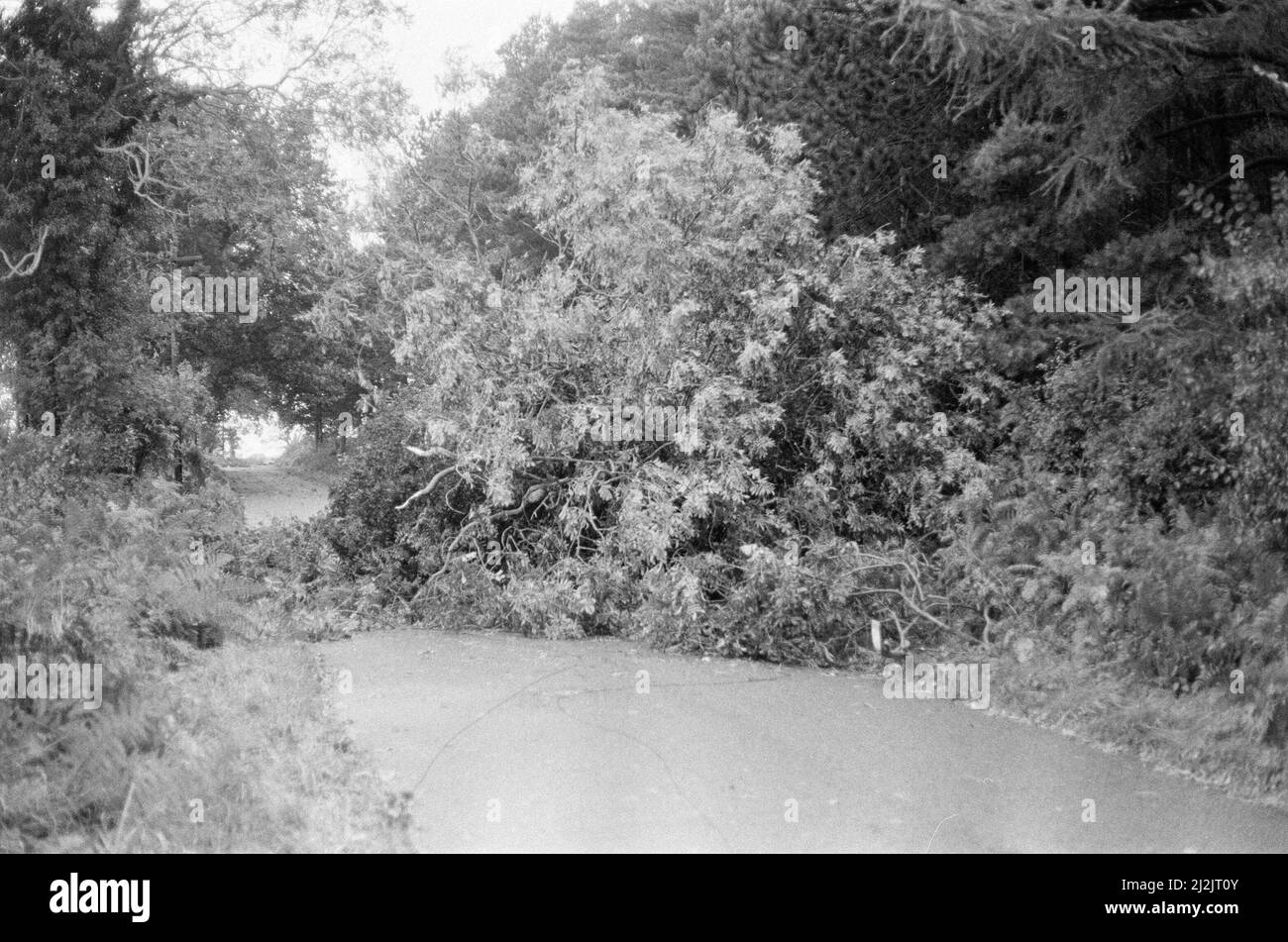 The Great Storm October 1987. Our Picture Shows . . . storm damage ...