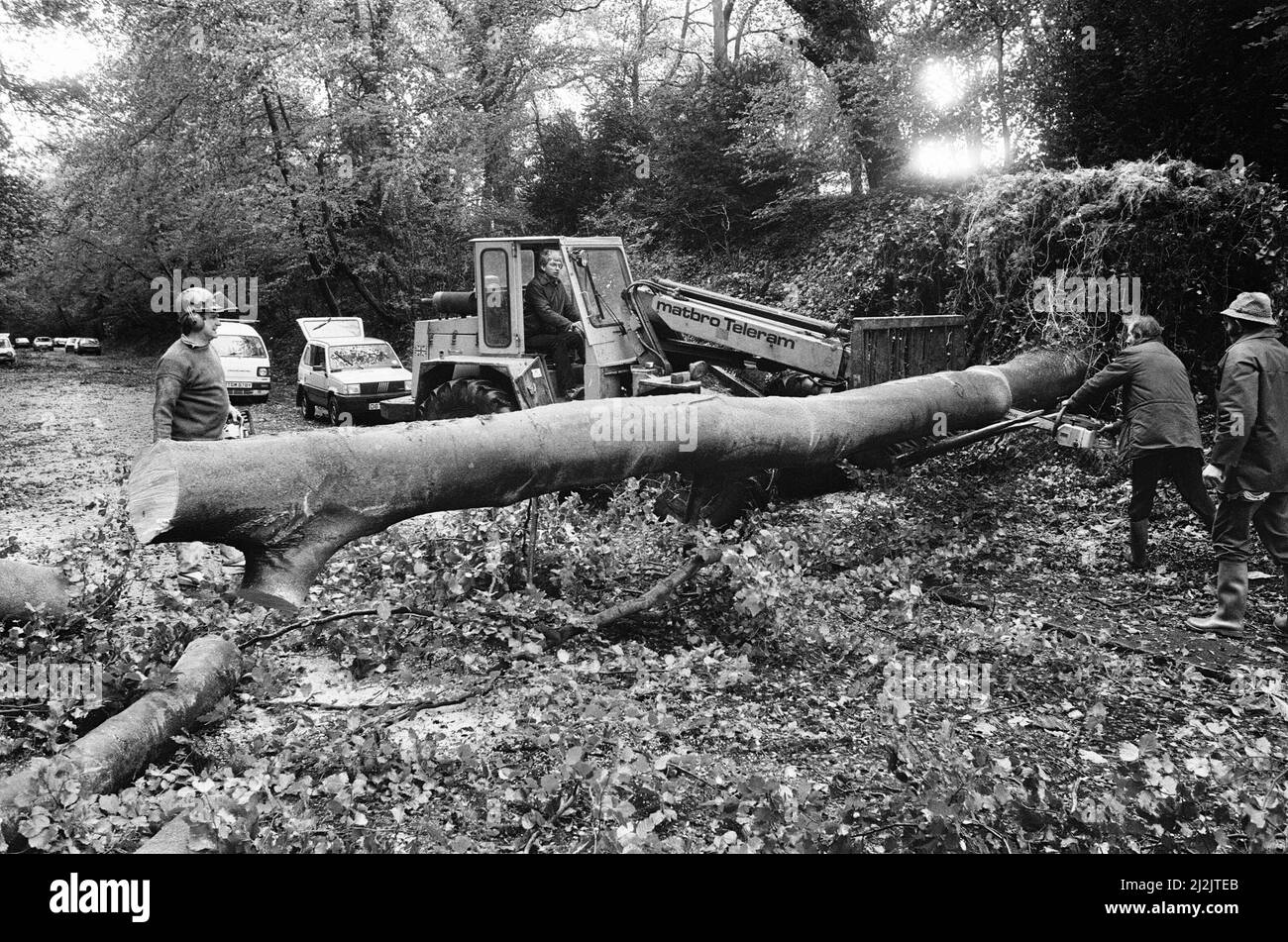 The great storm 1987 uk Black and White Stock Photos & Images - Alamy