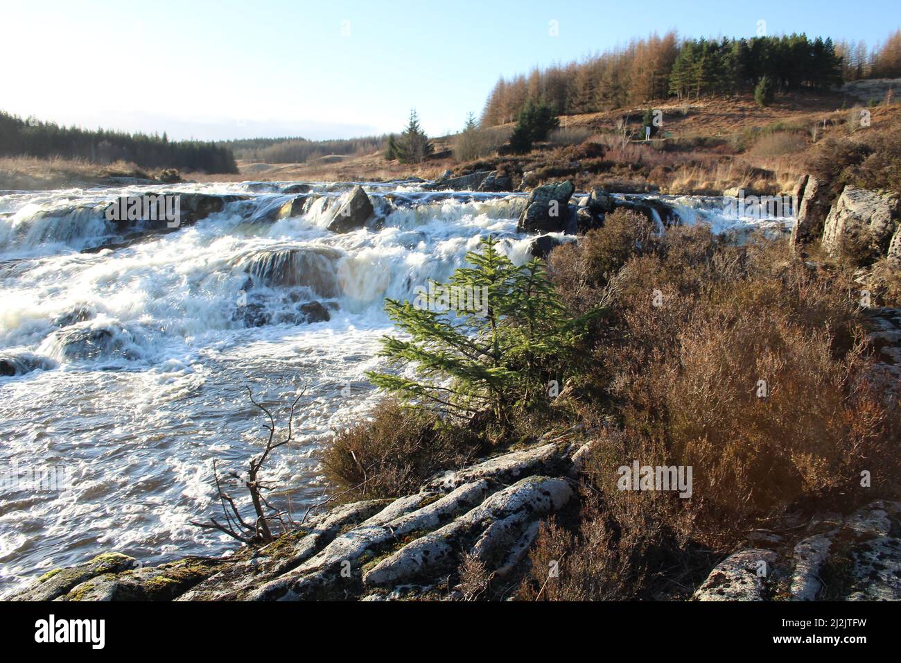 Waterfall and pine trees scotland hi-res stock photography and images ...