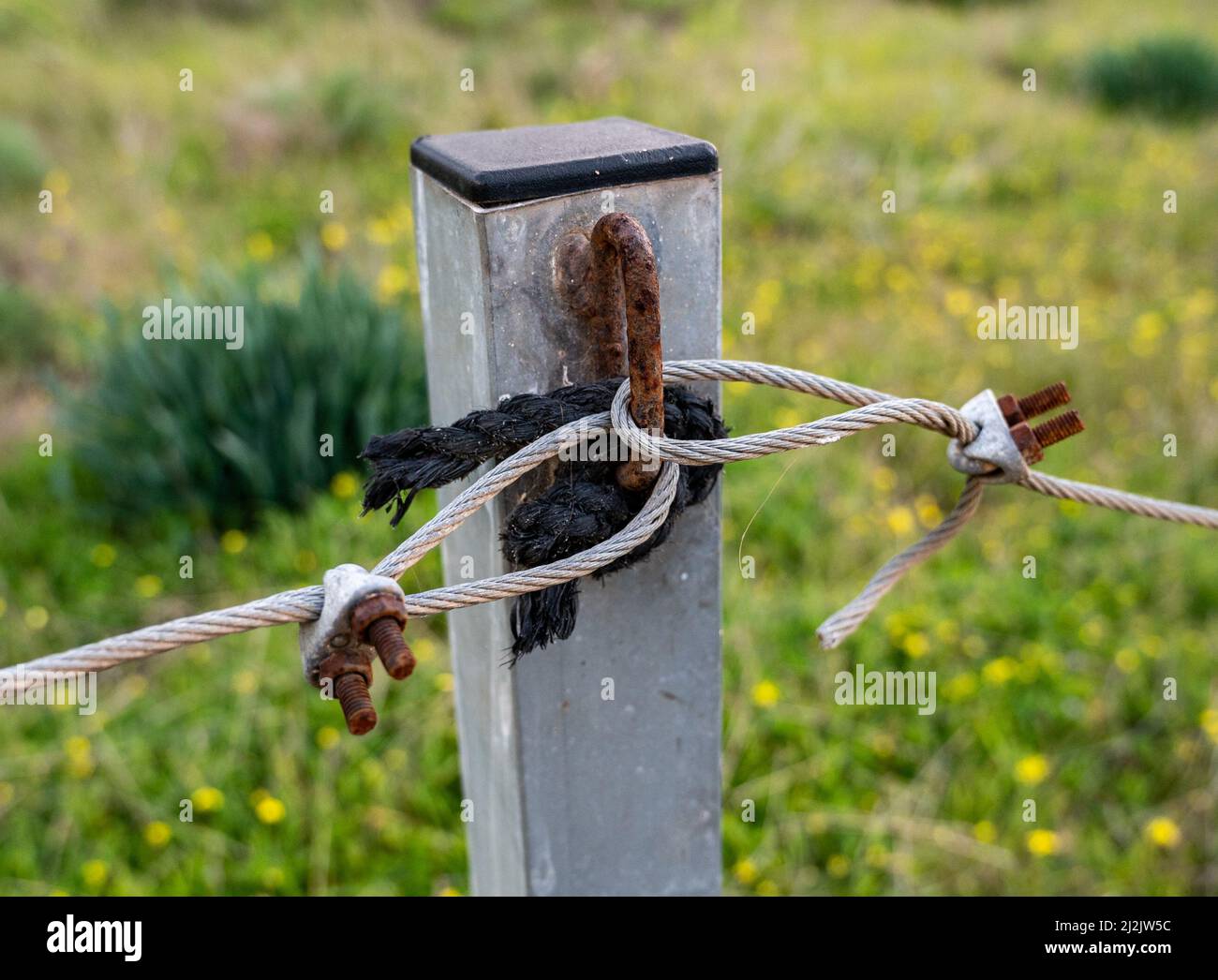A metal cable is threaded into a ring on a pole dug into the ground to ...