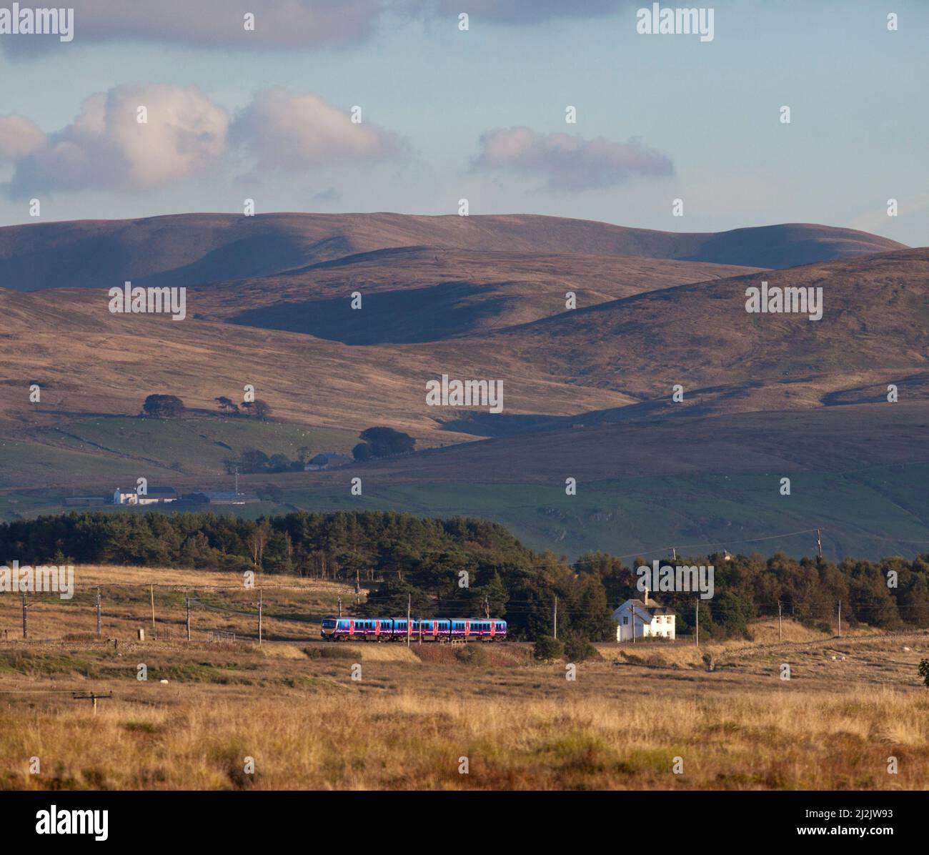 First Transpennine Express Siemens Desiro diesel train class 185 ...