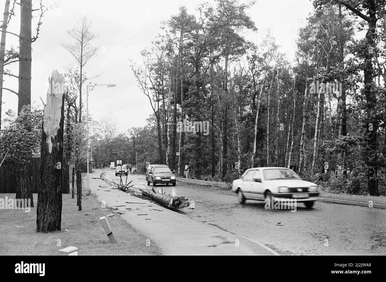 The great storm 1987 uk Black and White Stock Photos & Images - Alamy