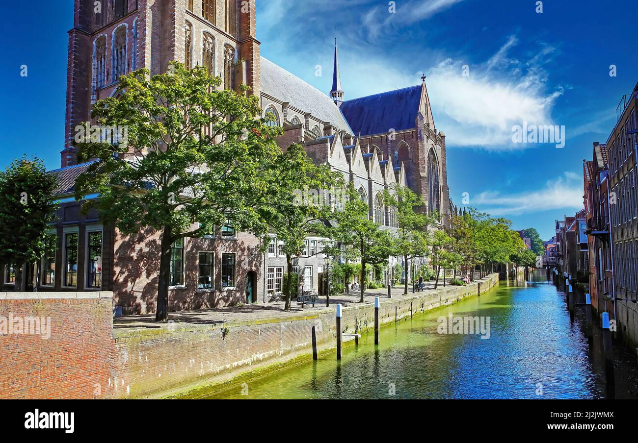 View on medieval gothic church with green trees at typical dutch water ...