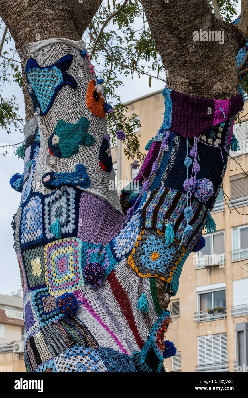 Colorful crochet knit on a tree trunk yarn bombing. Patchwork knitted ...