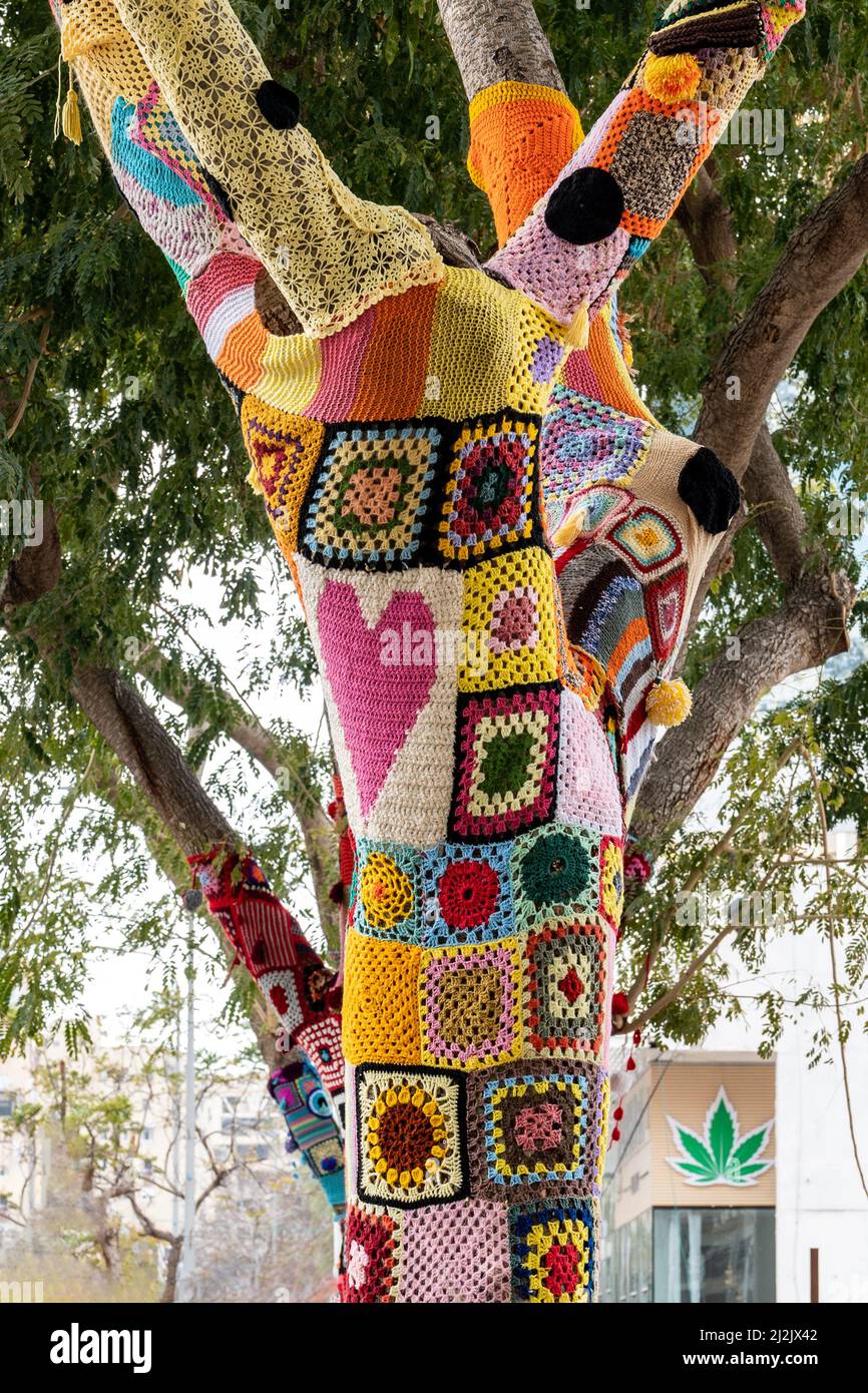 Colorful crochet knit on a tree trunk yarn bombing. Patchwork knitted ...