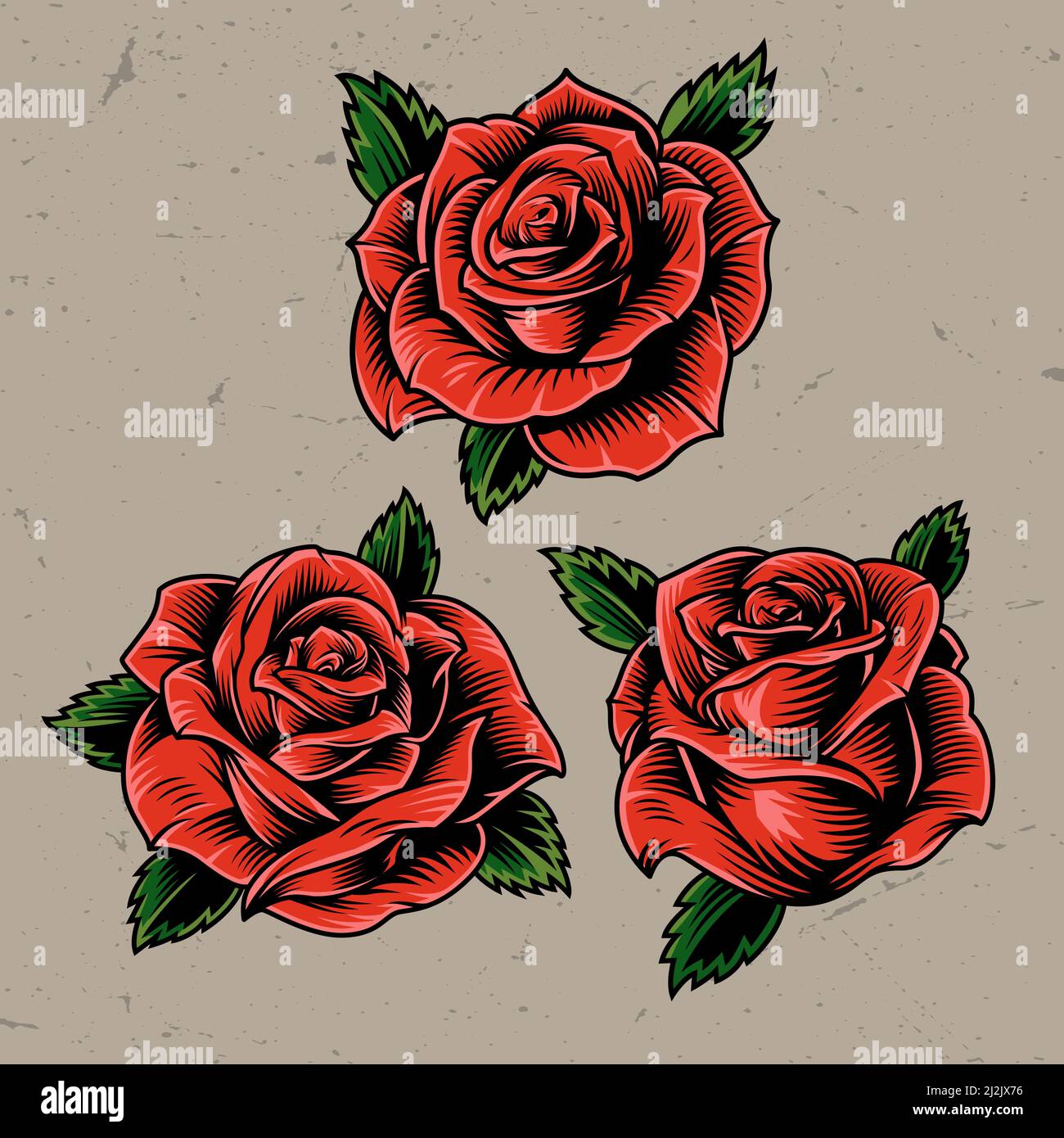 Vintage red blooming roses concept on gray background isolated vector ...