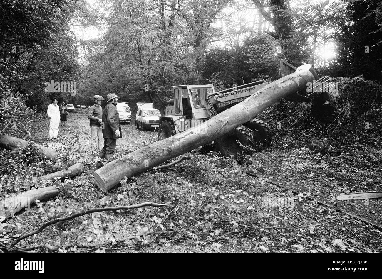 The Great Storm October 1987. Our Picture Shows . . . Storm damage ...