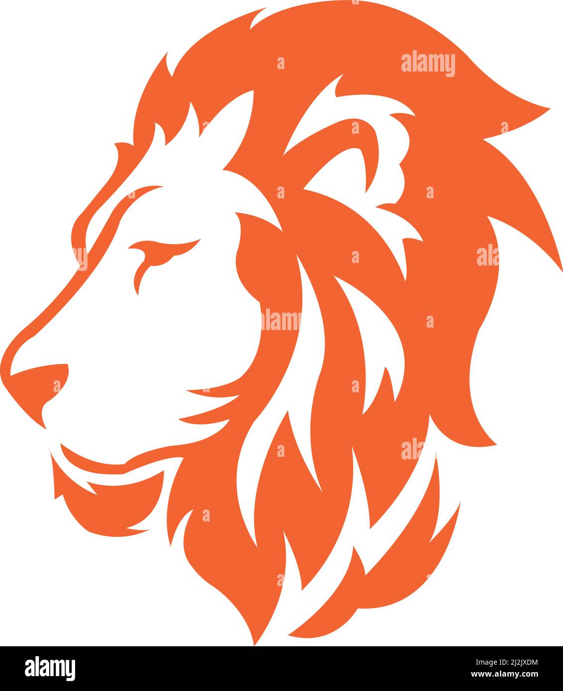 King lion roaring hi-res stock photography and images - Alamy