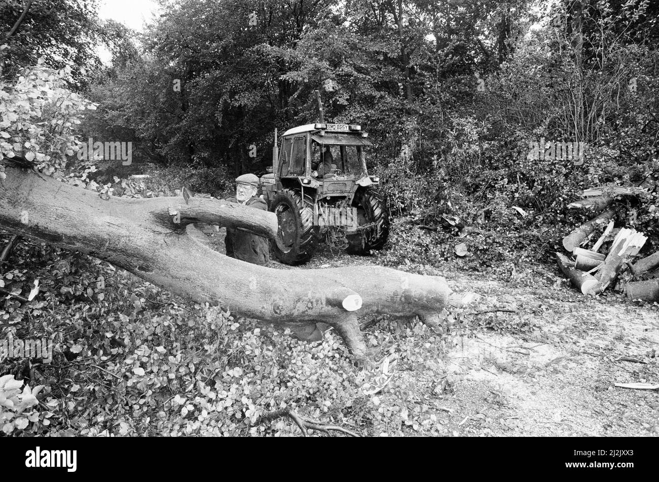 1987 storm uk Black and White Stock Photos & Images - Alamy