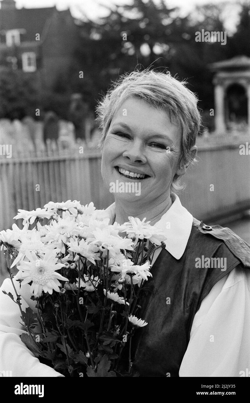 Judi Black and White Stock Photos & Images - Alamy