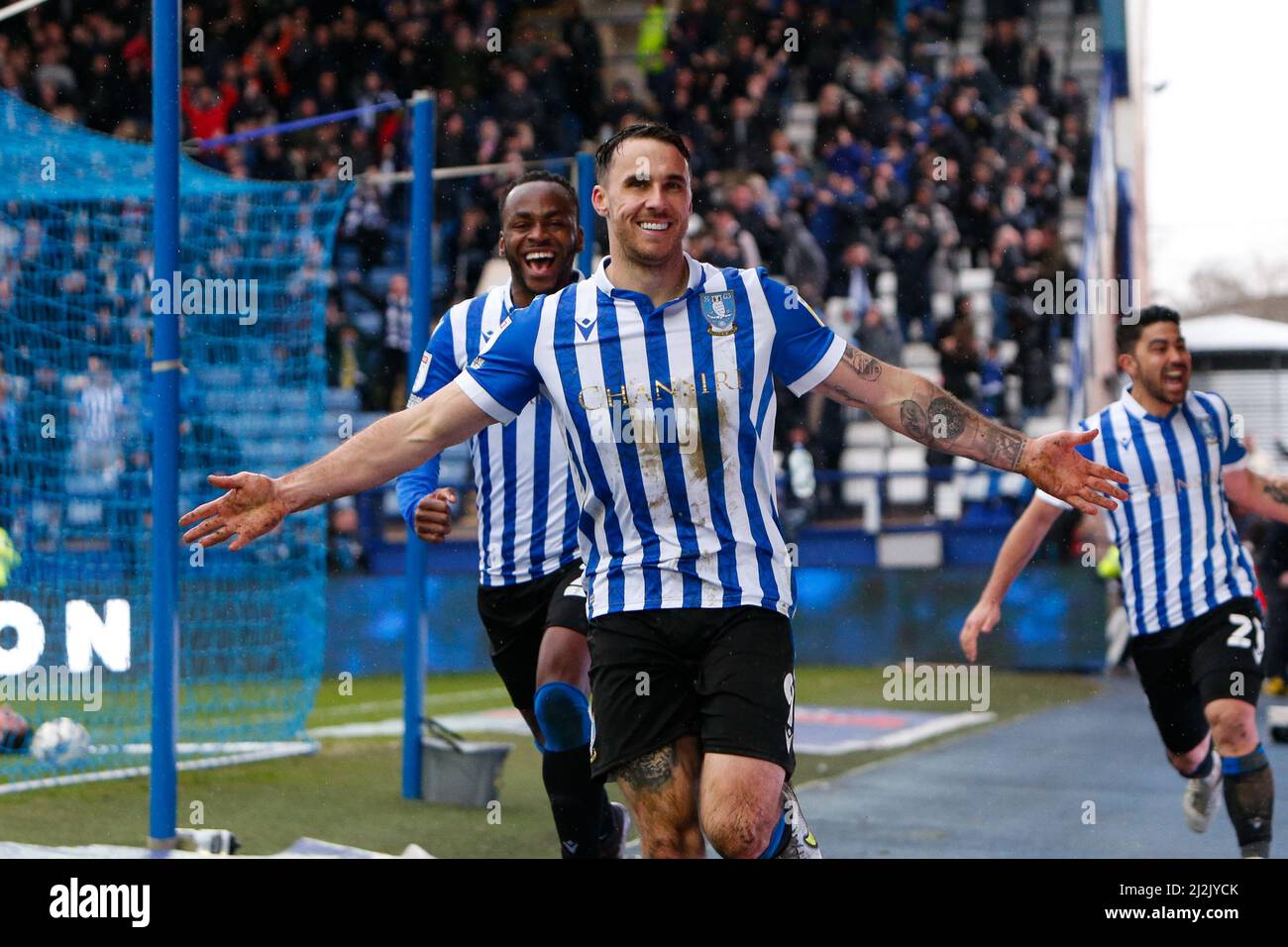 Lee Gregory #9 of Sheffield Wednesday Celebrates scoring a goal to make ...
