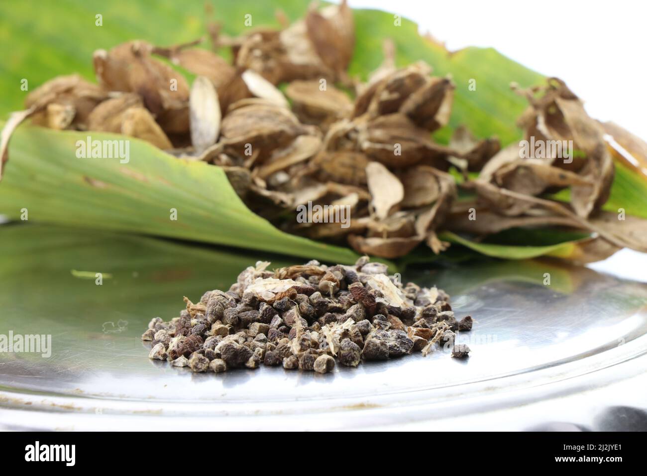Seeds of cardamom plant after being removed from its pod, cardamom is ...