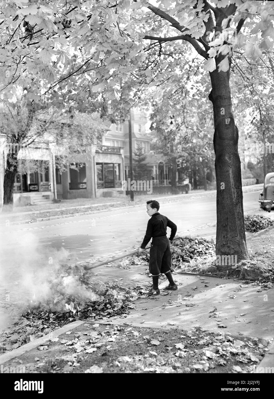 Boy burning fallen Leaves, New York, USA, Arthur Rothstein, U.S. Office ...