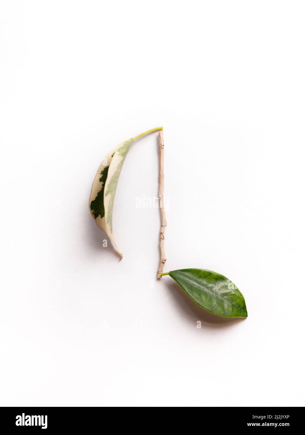 Eighth note hi-res stock photography and images - Alamy