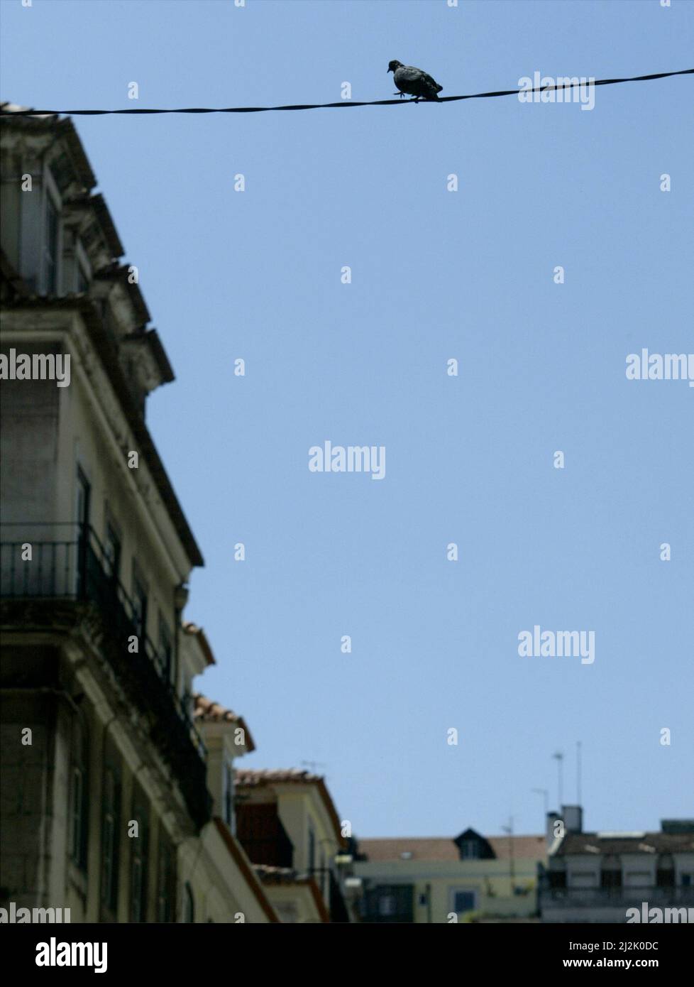 Daily life, Lisboa, Portugal Stock Photo - Alamy
