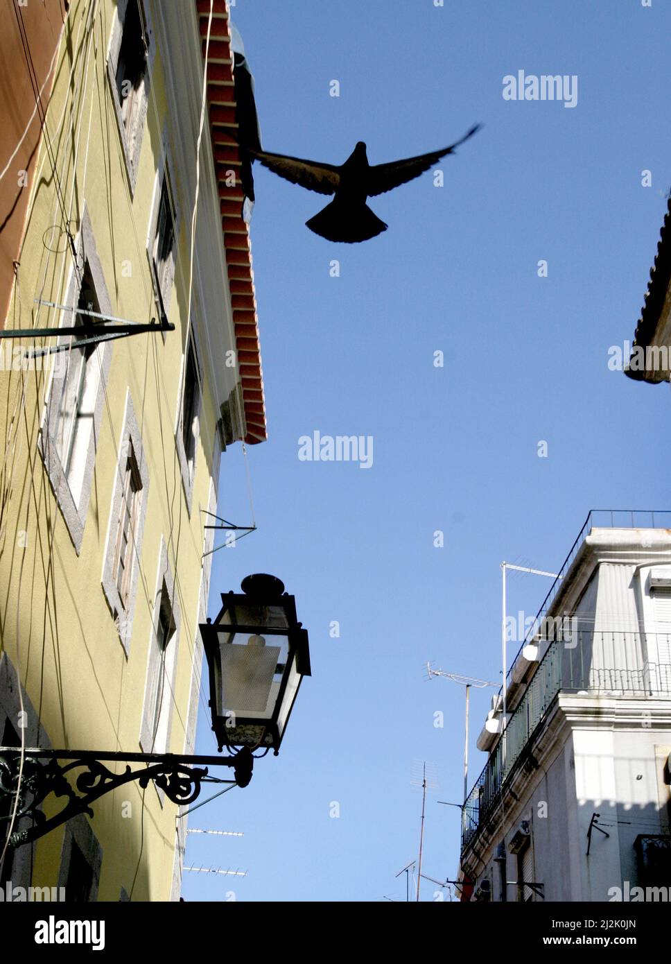 Daily life, Lisboa, Portugal Stock Photo - Alamy