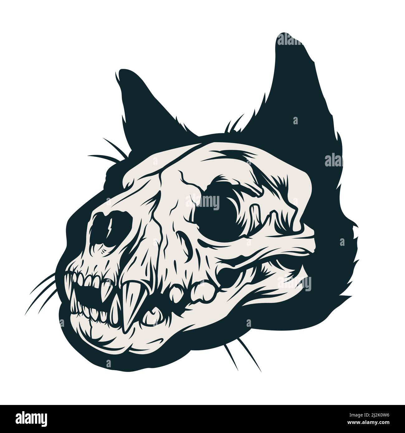 Vintage cat skull concept in monochrome style isolated vector ...