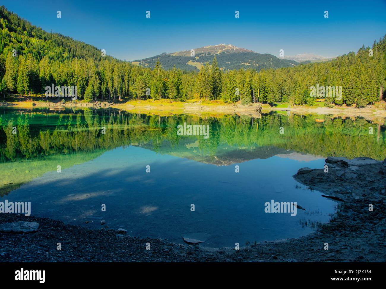Lake Cresta and forest landscape, Graubunden, Switzerland Stock Photo ...