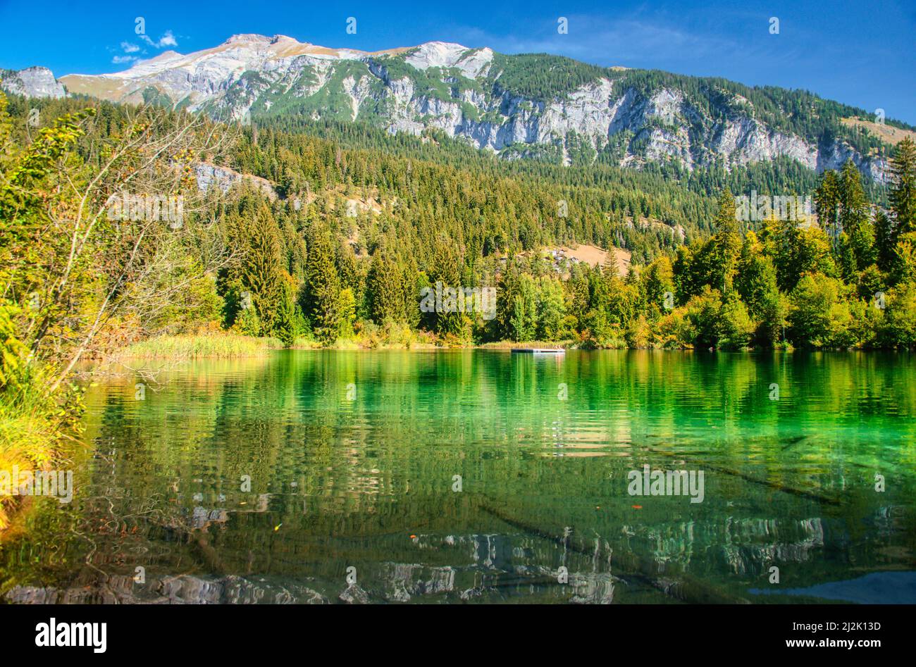 Lake Cresta, mountain and forest landscape, Graubunden, Switzerland ...