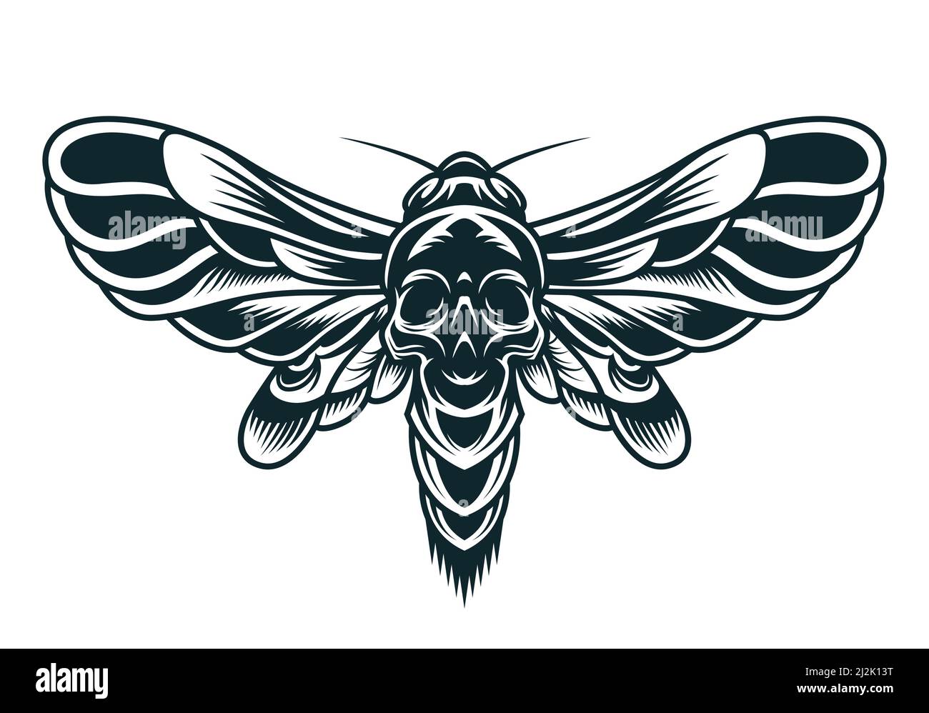 Scary bee monochrome concept with spooky skull silhouette on abdomen ...