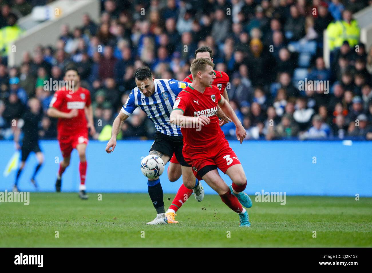 Daniel gregory hi-res stock photography and images - Alamy