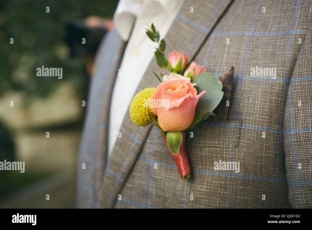 Close up image of beautiful boutonniere on the groom's jacket. Soft ...