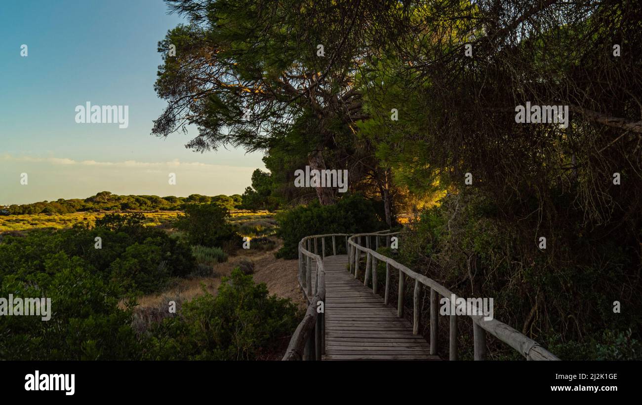 Donana National Park in Spain A UNESCO World Heritage Site Stock Photo ...