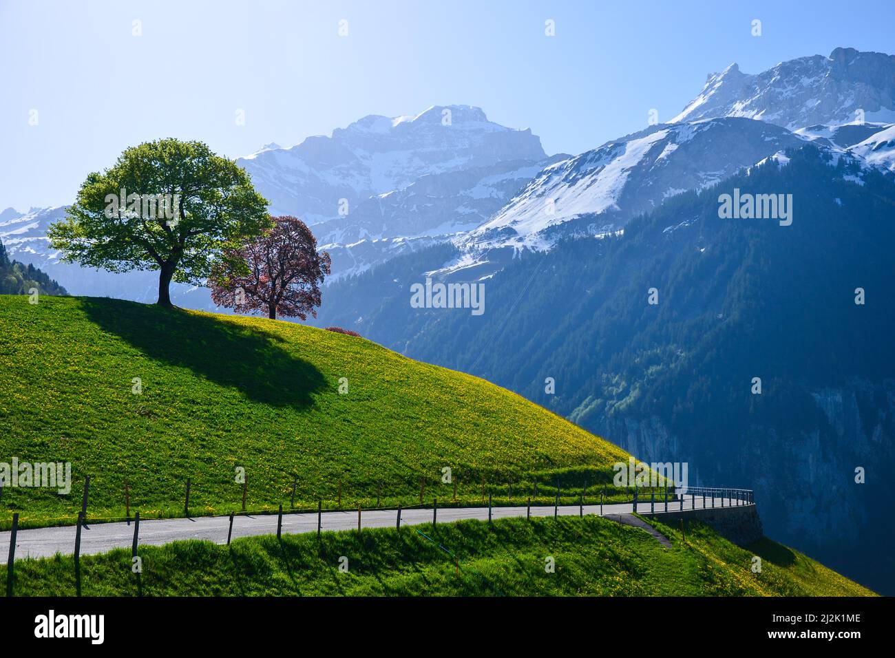 Alpine road in mountains, Urigen, Spiringen, canton of Uri, Switzerland ...