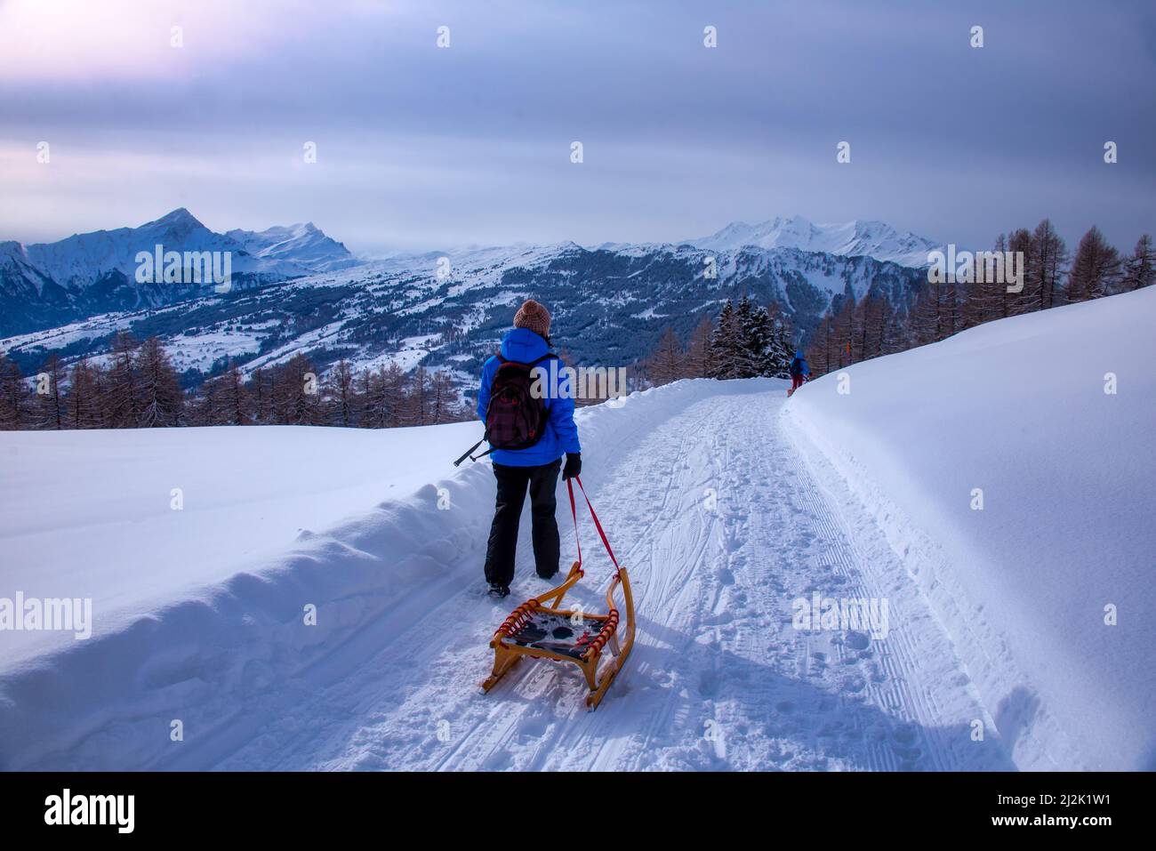 Rear view of two women pulling sledges along a snowy road, Feldis ...