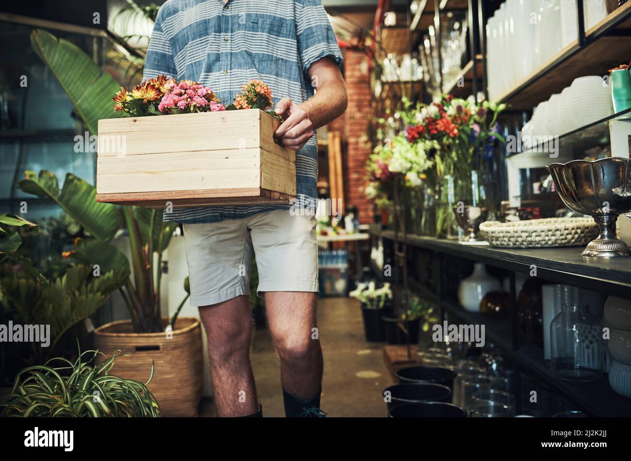 Fresh and wonderful flowers coming right up. Cropped shot of an ...