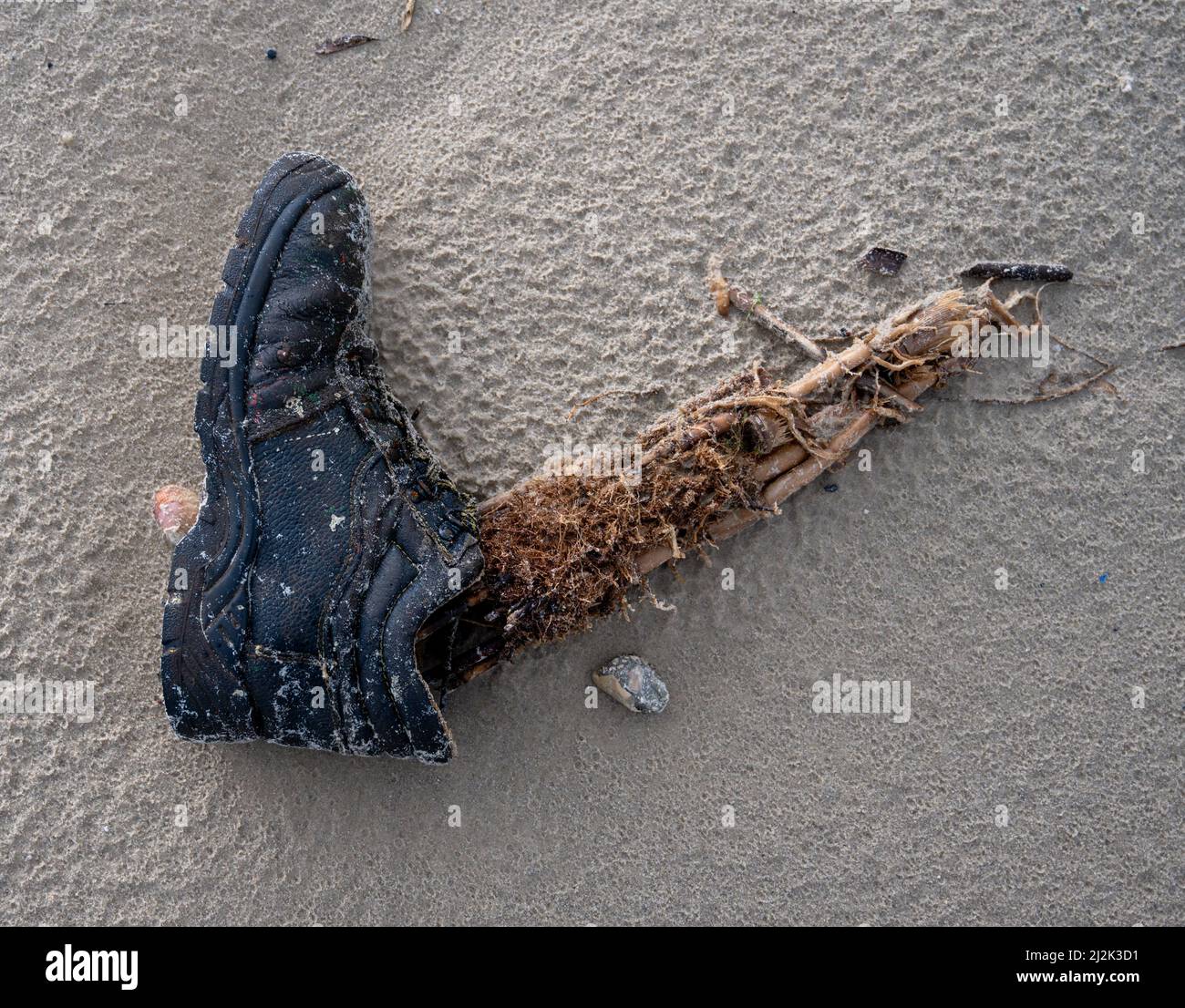 Old brown shoe hi-res stock photography and images - Alamy