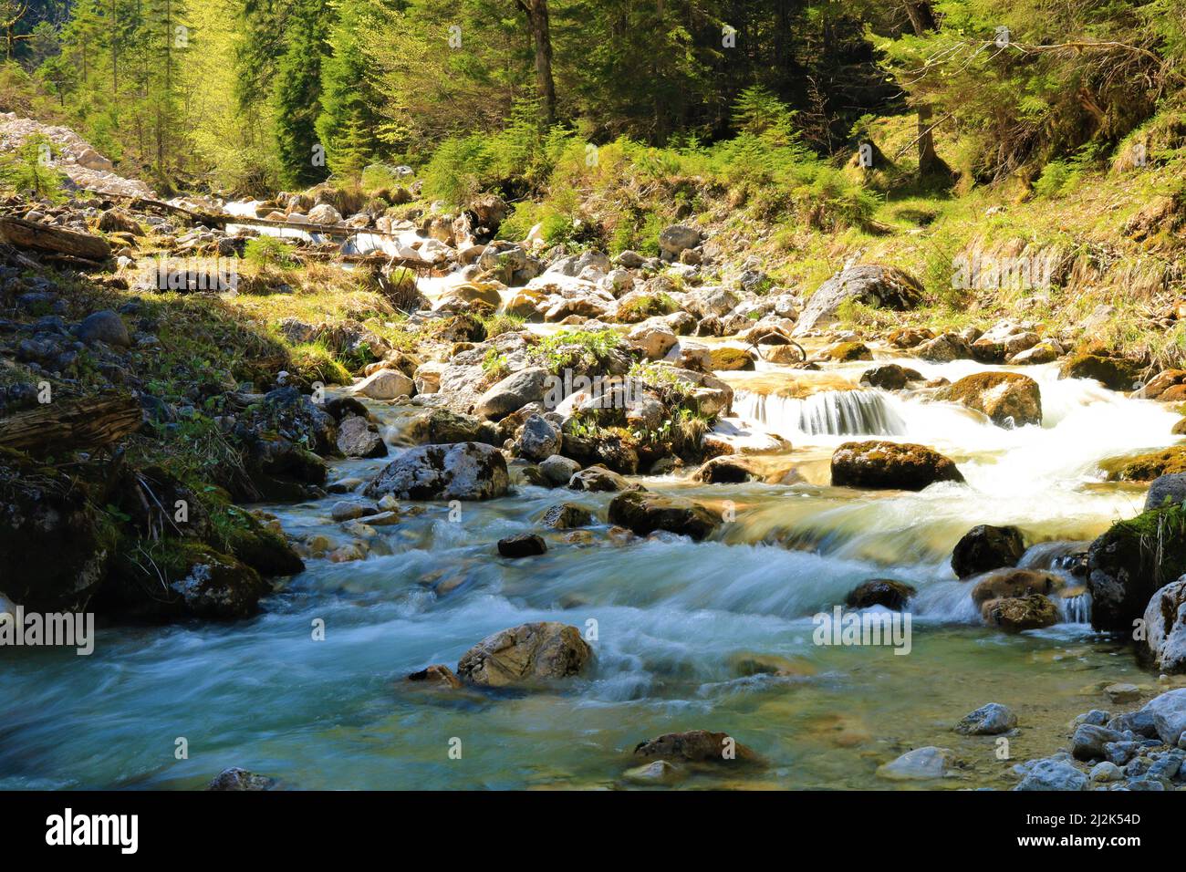 The beautiful forest river waterfall scene in the summer Stock Photo ...