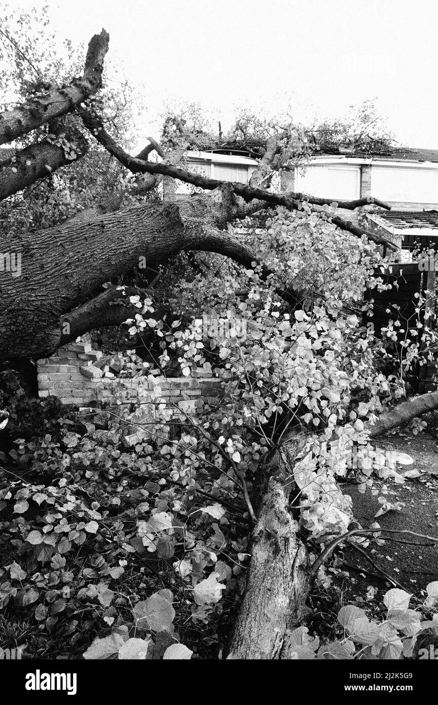 The Great Storm October 1987. Our Picture Shows . . . storm damage ...