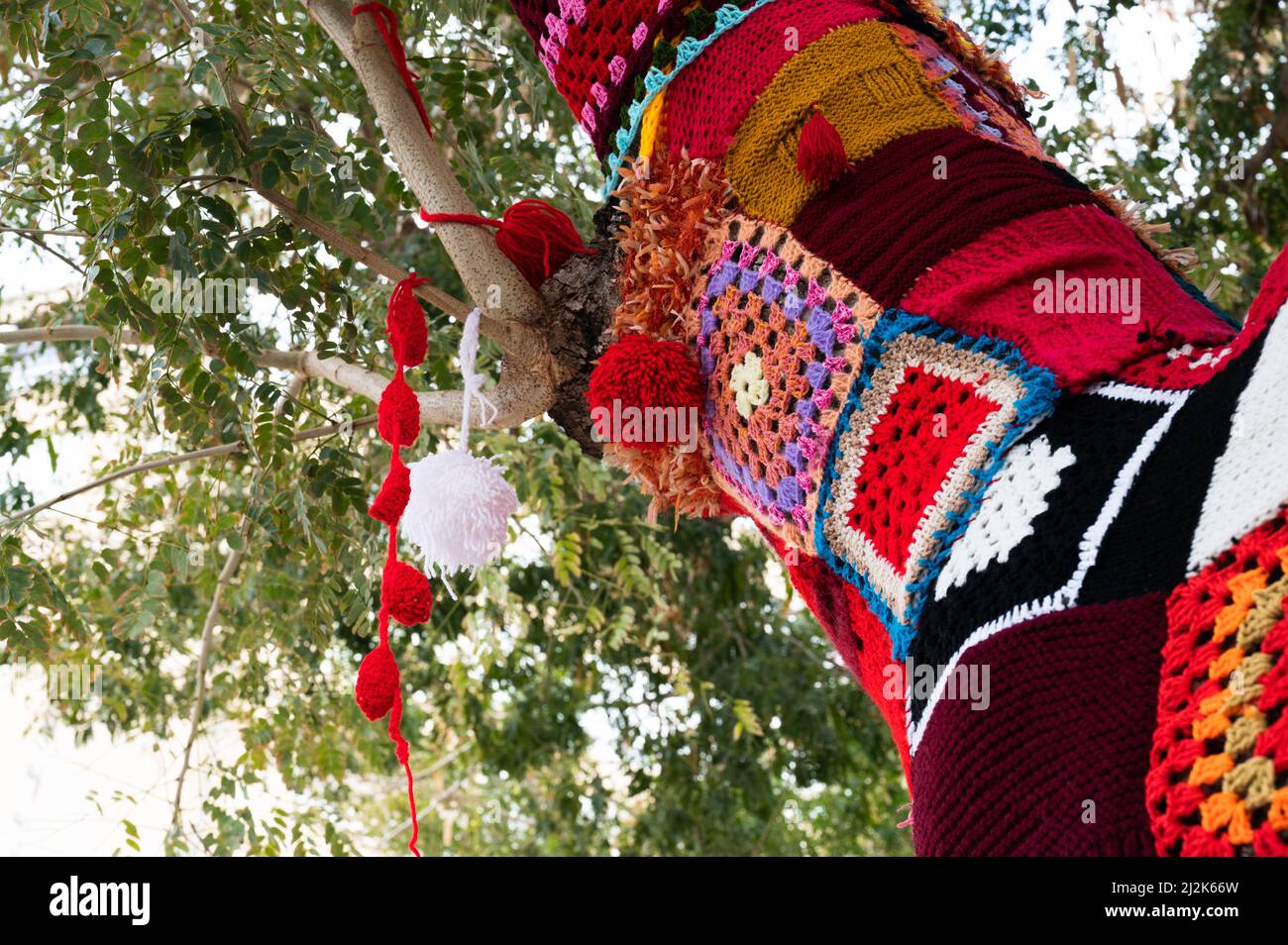 Colorful crochet knit on a tree trunk yarn bombing. Patchwork knitted ...