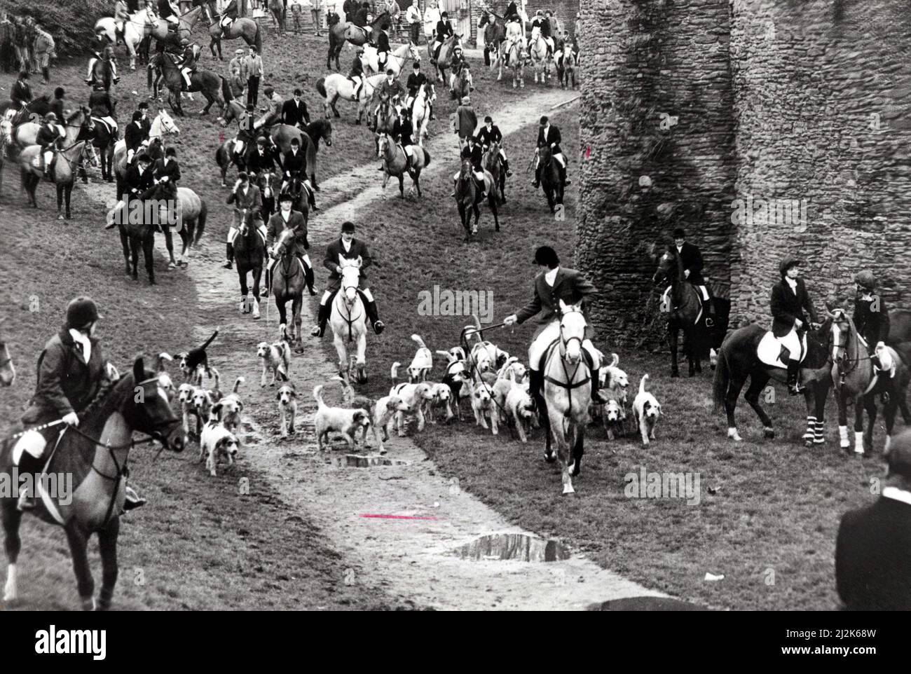 1980s fox hunting hi-res stock photography and images - Alamy