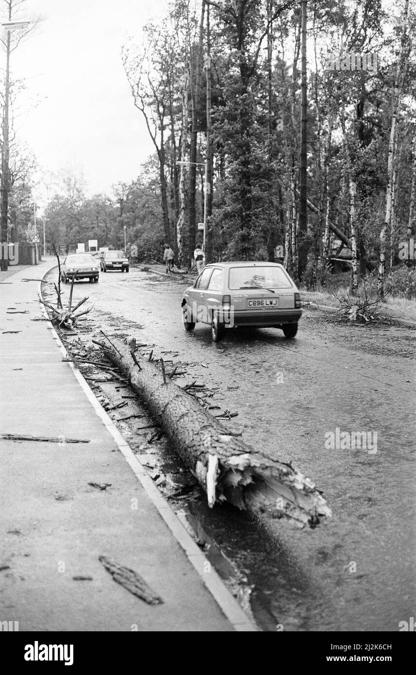 The Great Storm October 1987. Our Picture Shows . . . storm damage ...