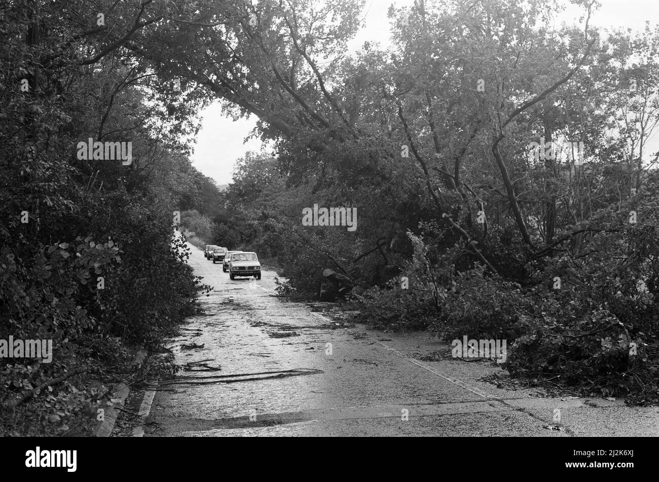 The great storm 1987 uk Black and White Stock Photos & Images - Alamy