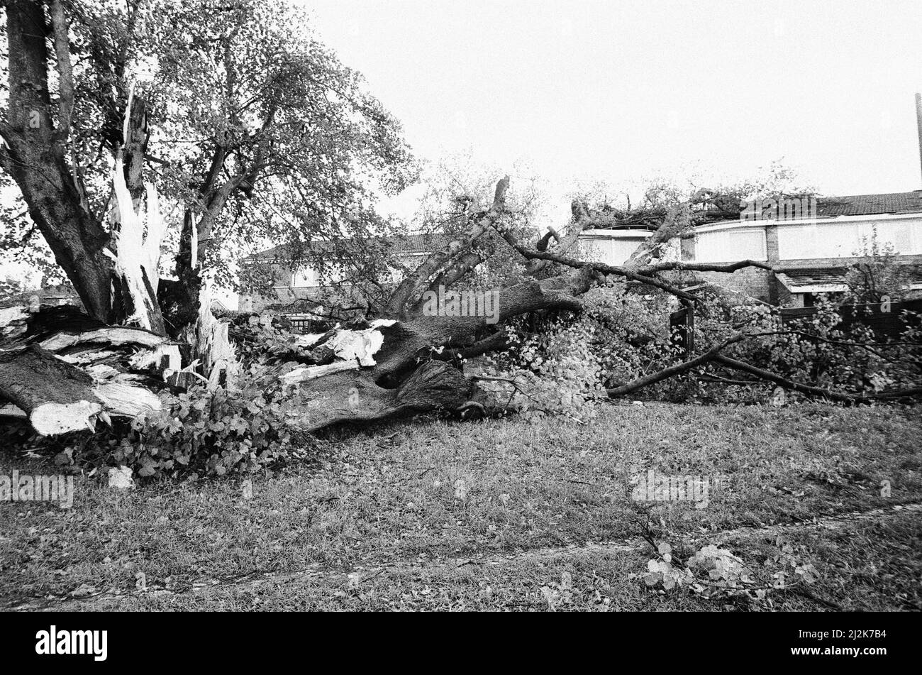 The great storm 1987 uk Black and White Stock Photos & Images - Alamy