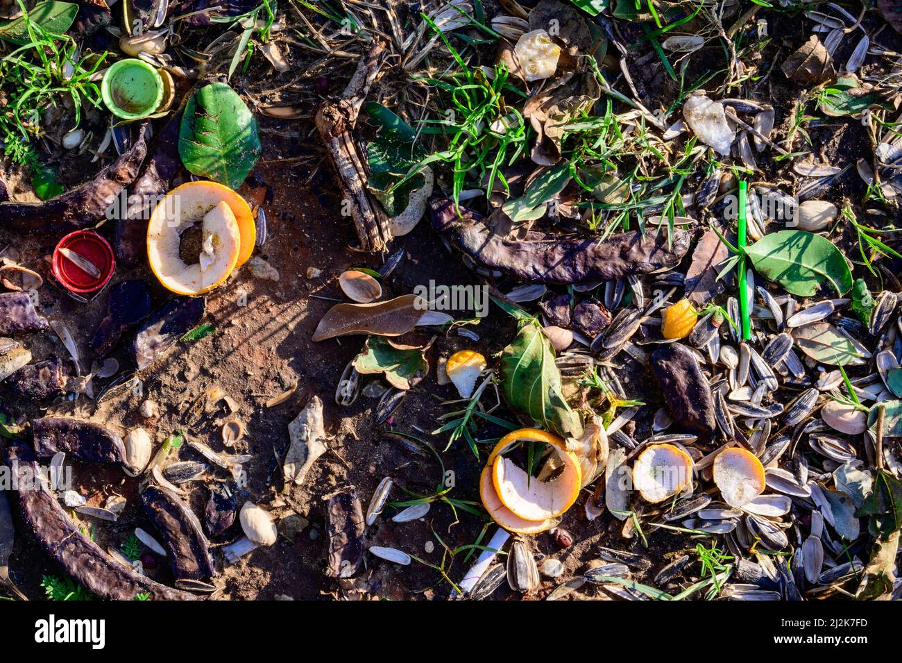 Garbage in meadow. Rubbish, trash left after picnic. People illegally ...