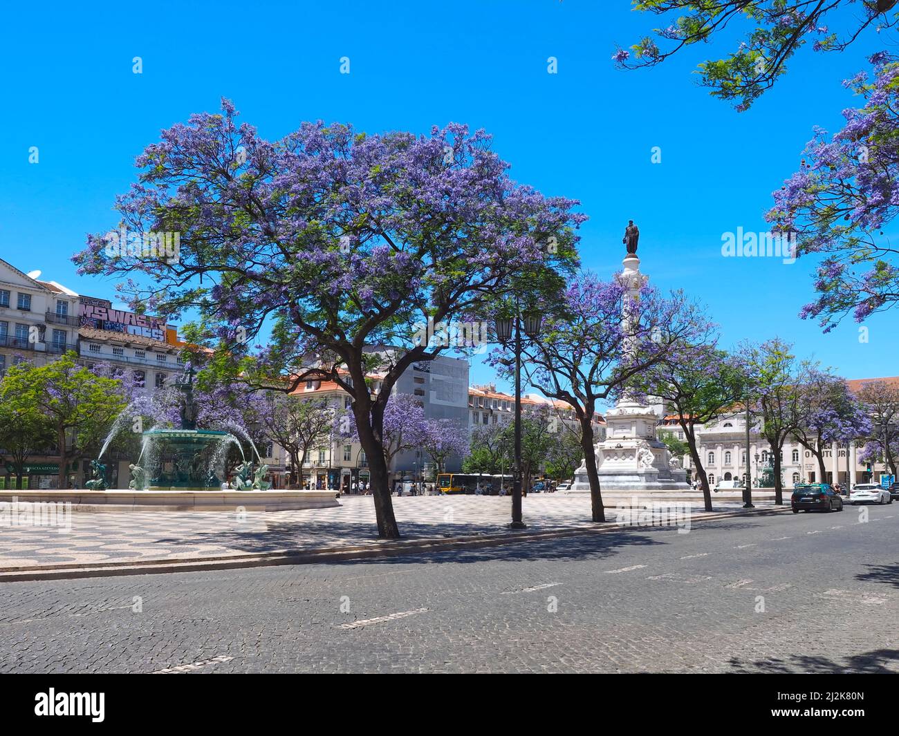 Jacaranda trees lisbon portugal hi-res stock photography and images - Alamy