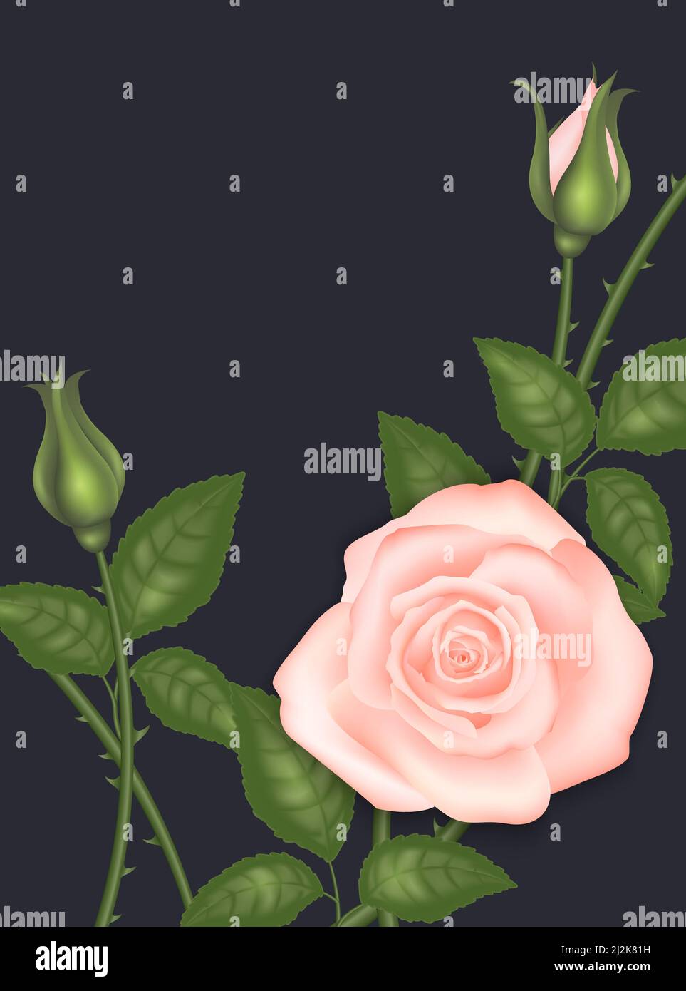 Botanic garden pink rose flower nature plant decoration poster Stock ...