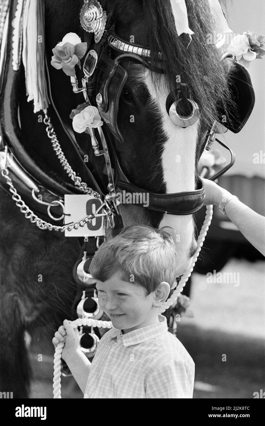Liverpool May Horse Parade, Saturday 9th May 1987. Behind the scenes ...